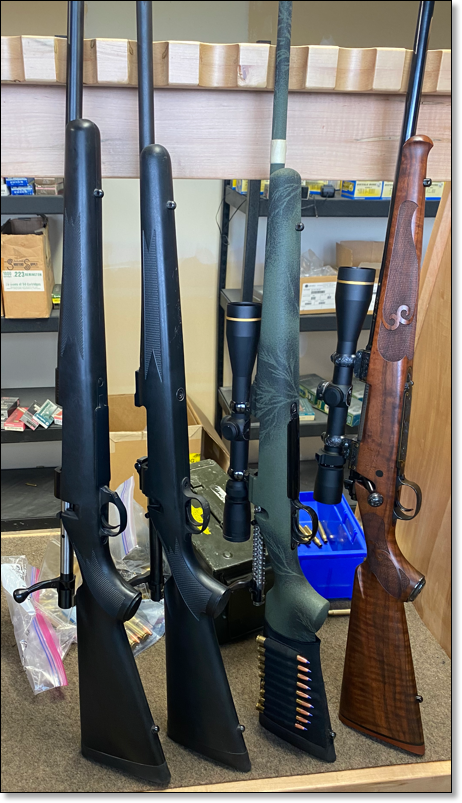 270 WINCHESTER Ammo Rifle & Gun Ammunition